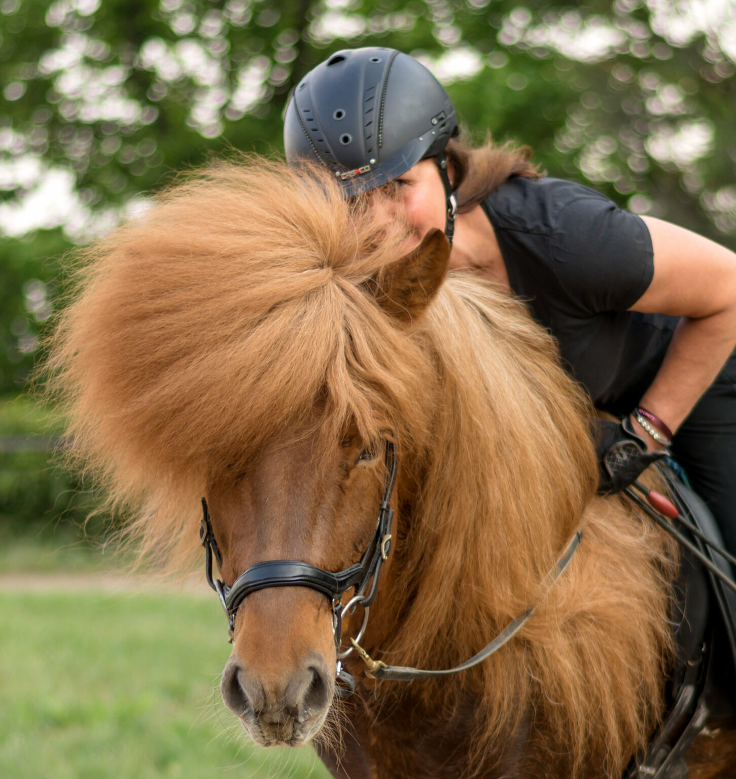 Jutta Irle - Kleintierärzte Wilhelmshöhe